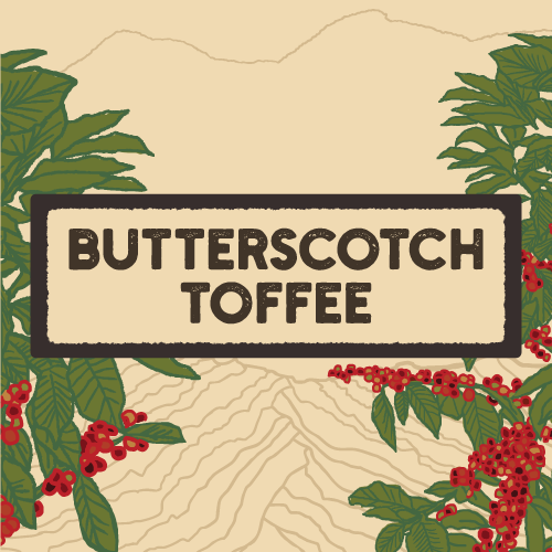Butterscotch Toffee – Dark Canyon Coffee Company